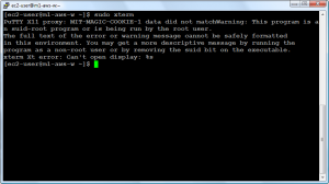 Remote X11 GUI for Linux/Unix - Red Wire Services